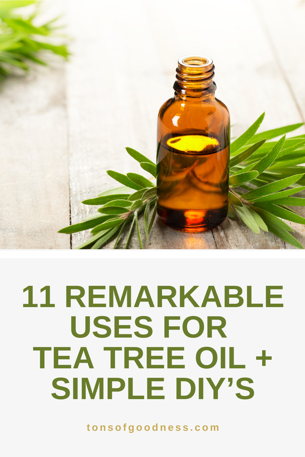 11 Remarkable Uses For Tea Tree Oil and Simple DIY's